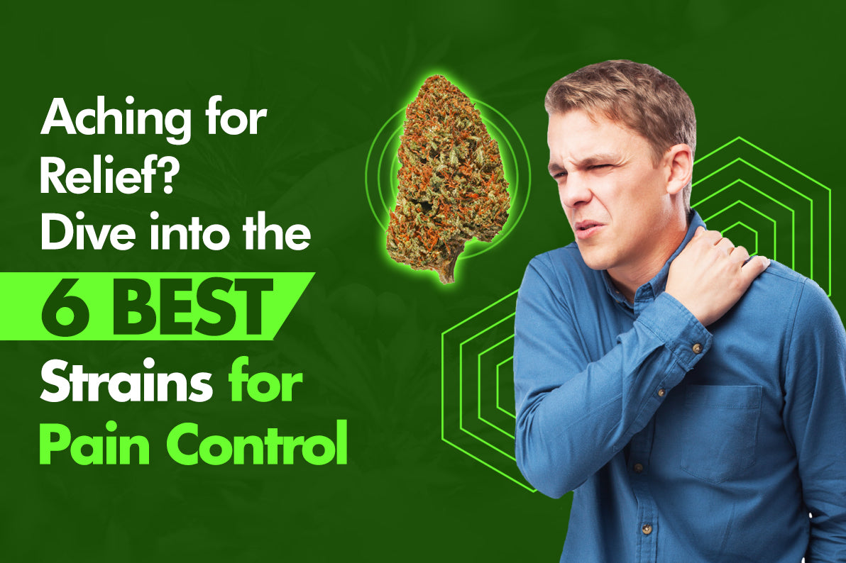 6 Best Strains For Pain Unveiling The Top 6 Options For Relief 6-best-strains-for-pain-unveiling-the-top-6-options-for-relief