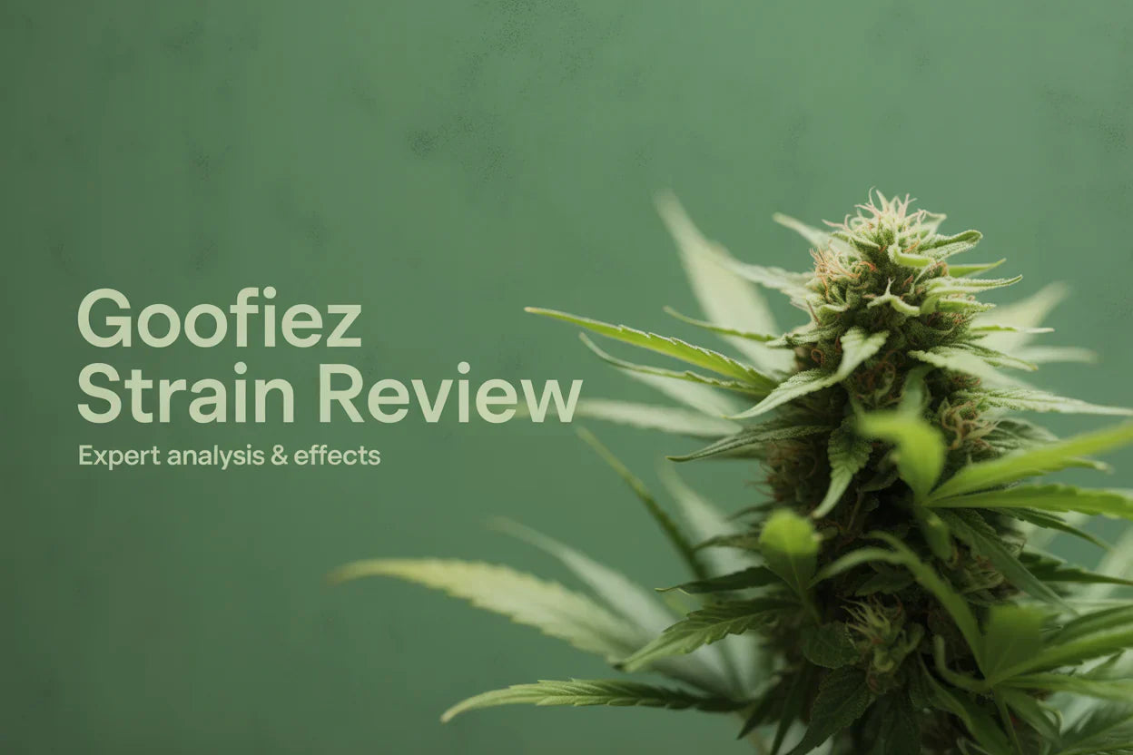 Goofiez Strain Review Info : Everything You Need to Know