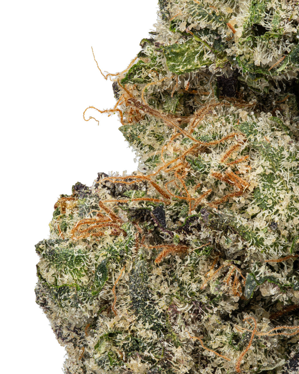 Shop Gary Payton THCa Flower Strain Online in Charlotte NC | Hemp Hop