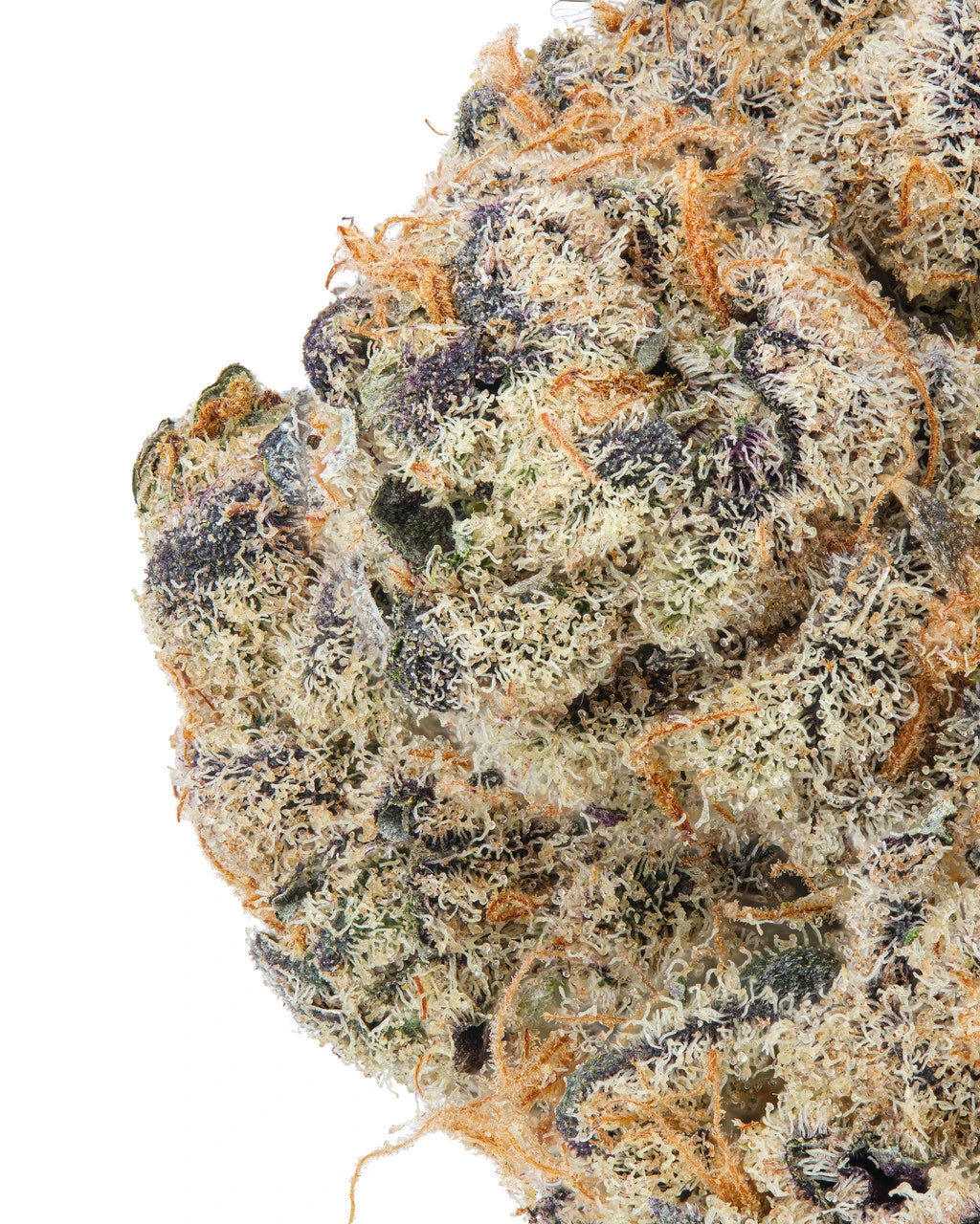 Best THCa Flower Online | Fast Discreet Nationwide Delivery | Hemp Hop