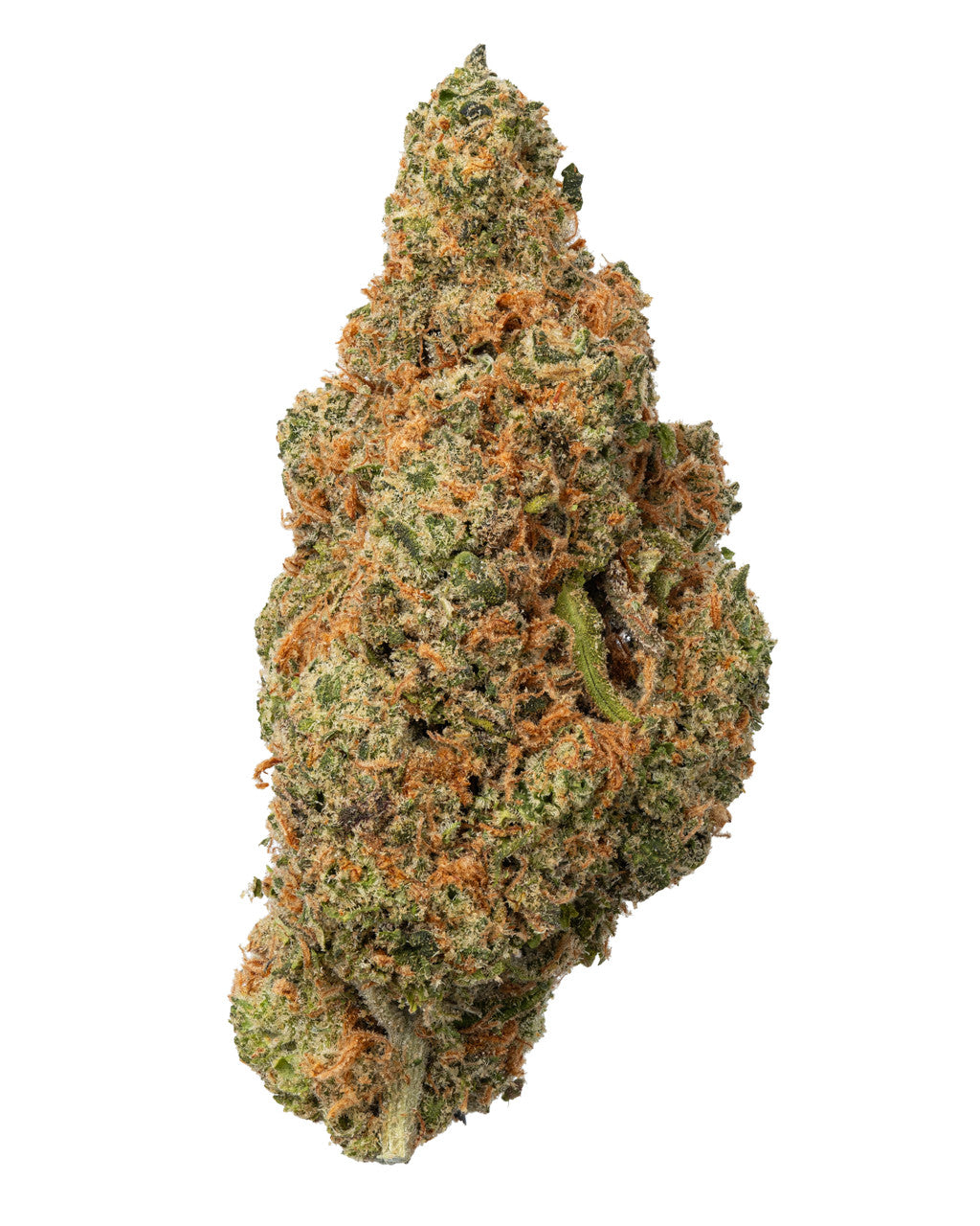 Shop Jack Herer THCa Flower Strain Online in Charlotte NC | Hemp Hop