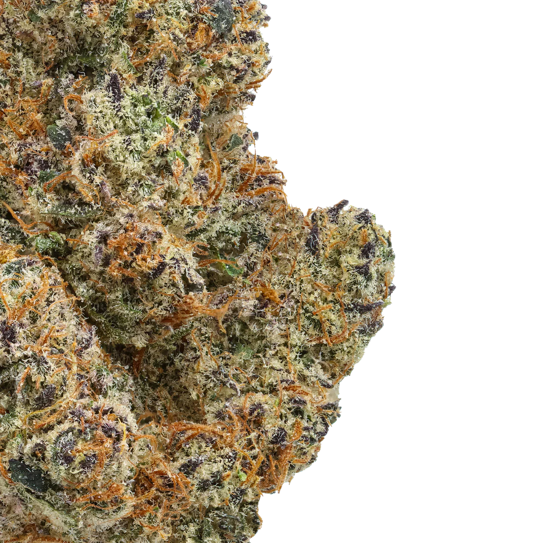 THCa Flower Clearance | Cheap THCa Flower Ounces & Pounds | Hemp Hop