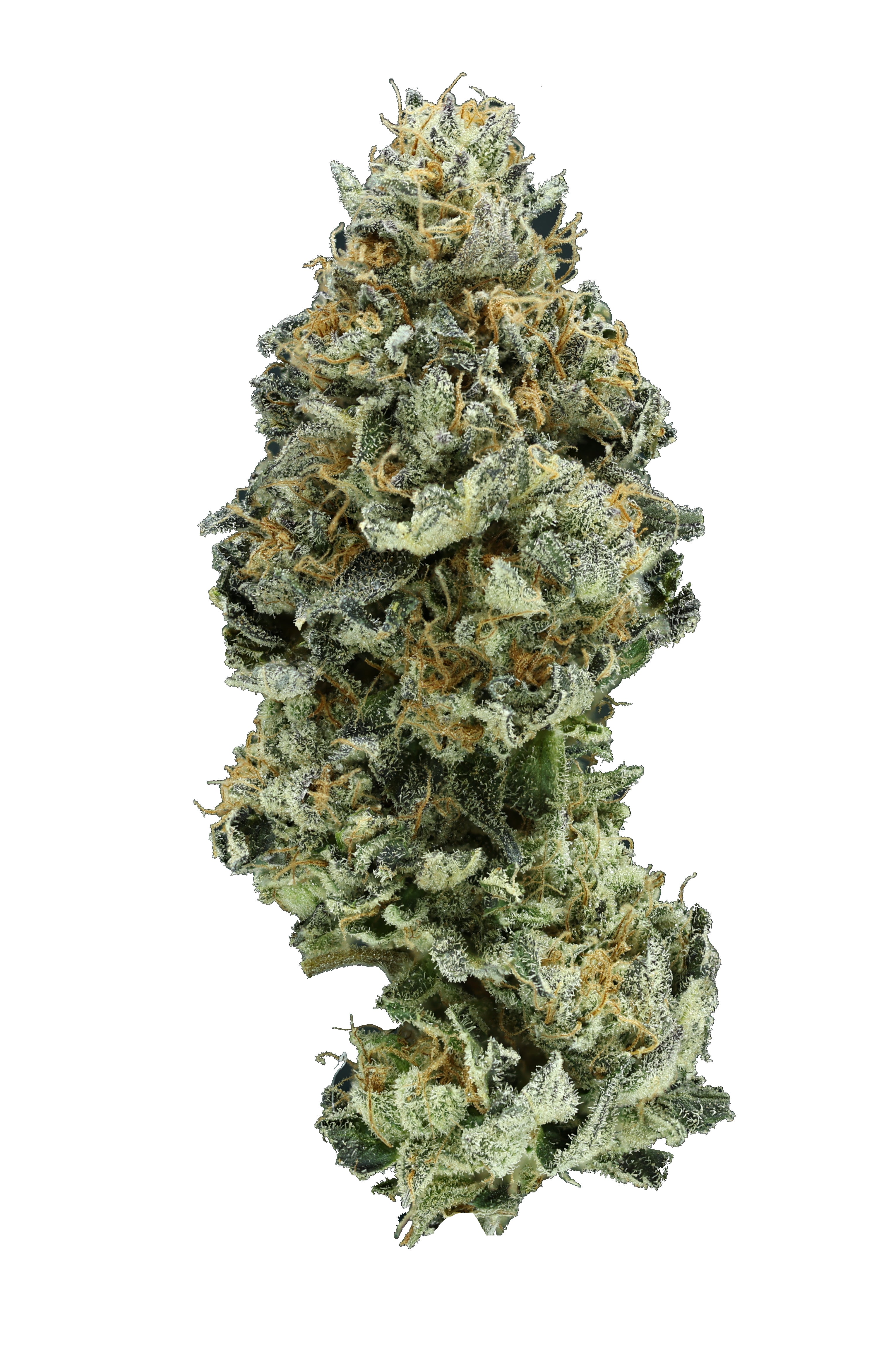 Buy Lime Cookies Strain THCA Hemp Flower | Hemp Hop