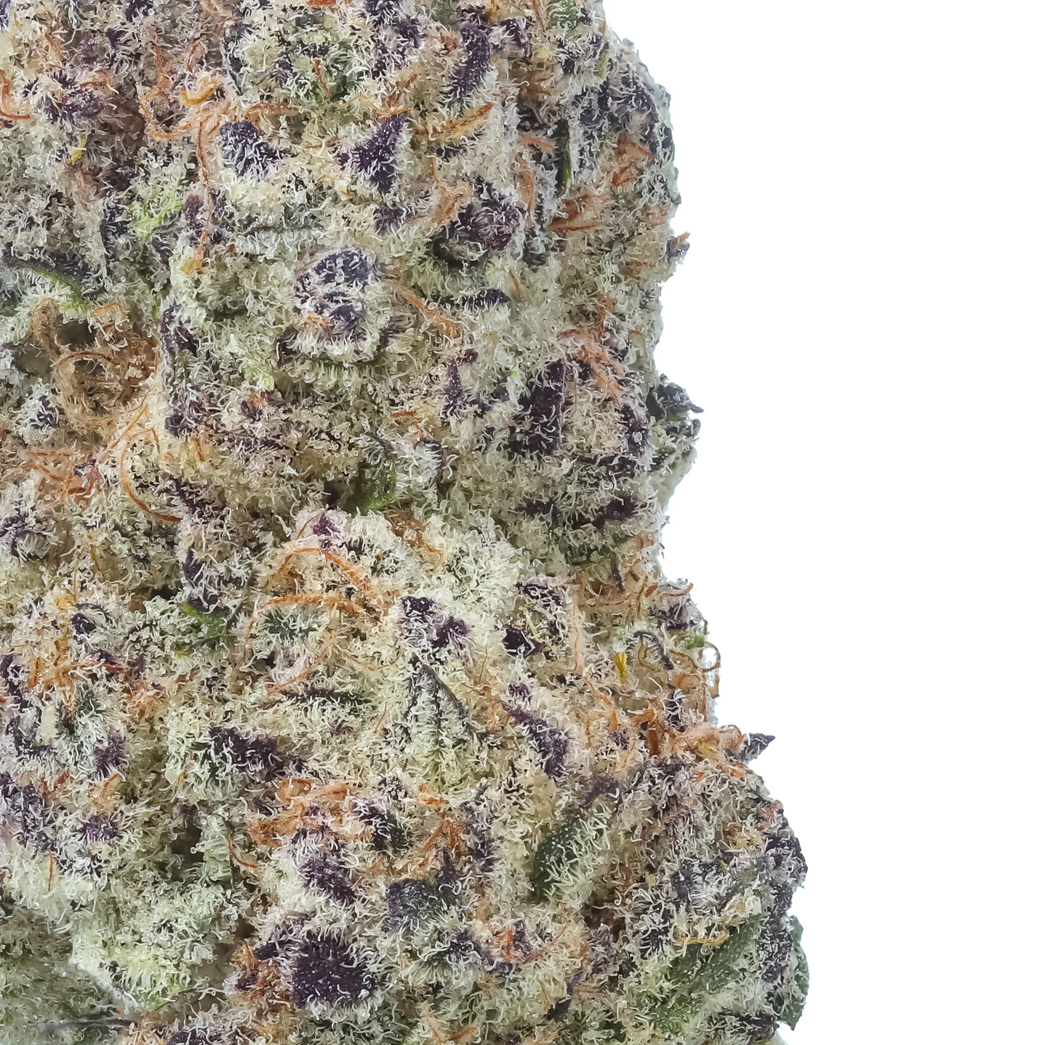 Best THCa Flower Online | Fast Discreet Nationwide Delivery | Hemp Hop