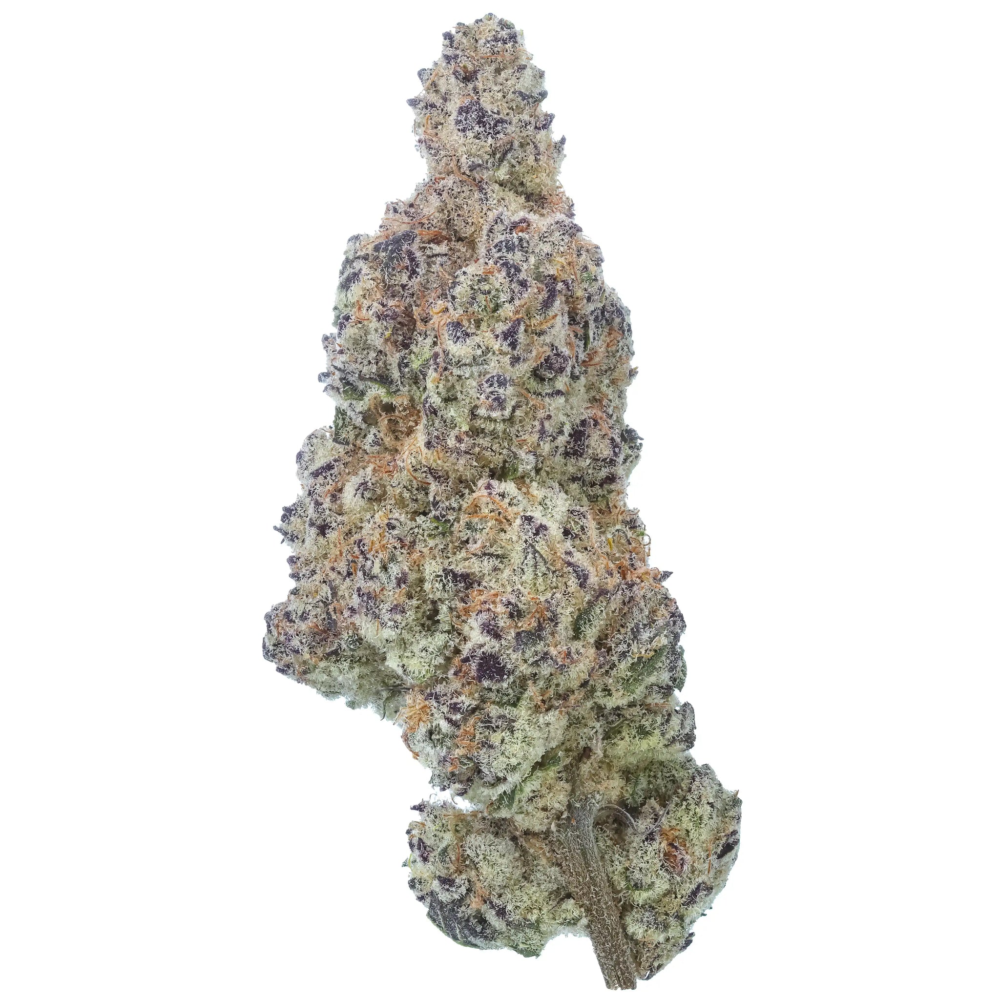 THCa Flower Clearance | Cheap THCa Flower Ounces & Pounds | Hemp Hop
