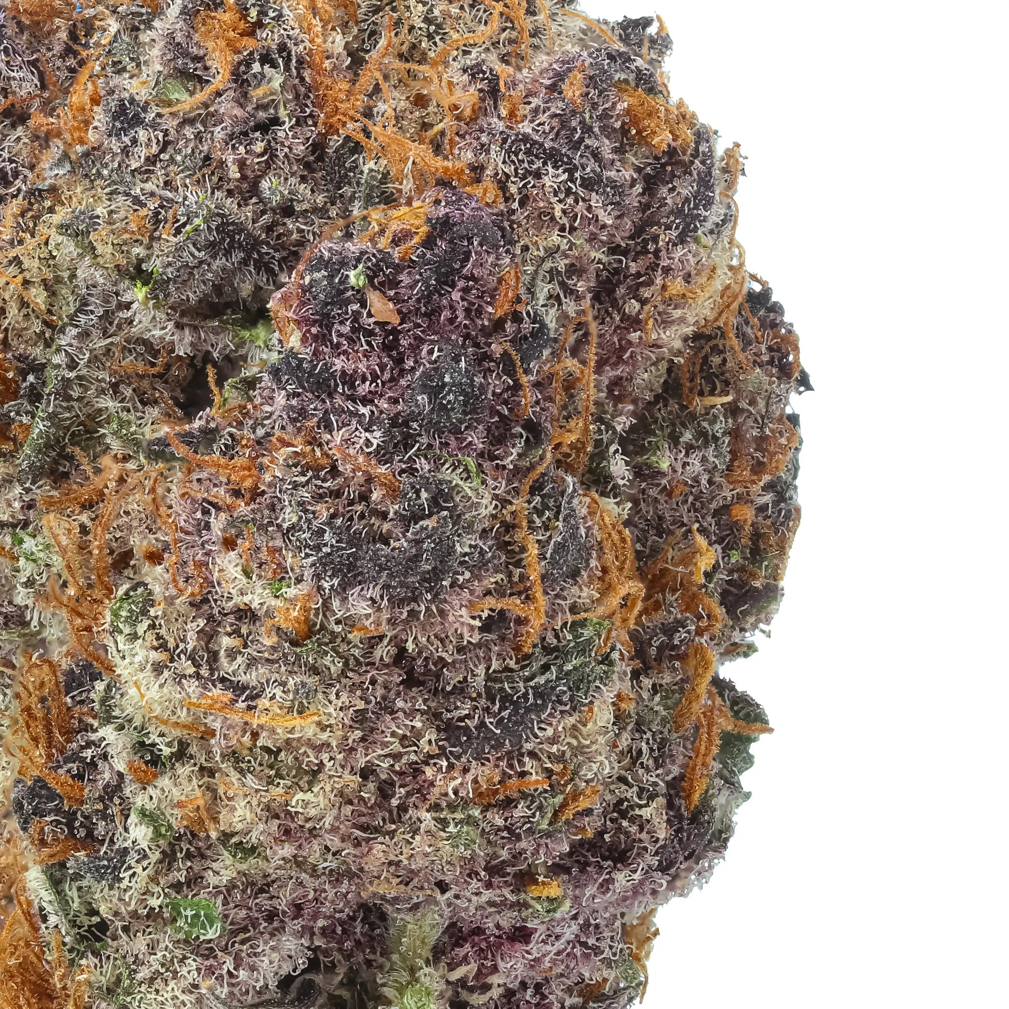 Best THCa Flower Online | Fast Discreet Nationwide Delivery | Hemp Hop