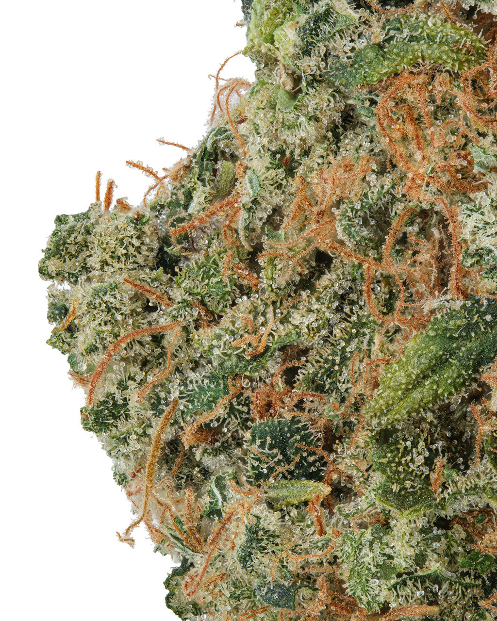 Best THCa Flower Online | Fast Discreet Nationwide Delivery | Hemp Hop