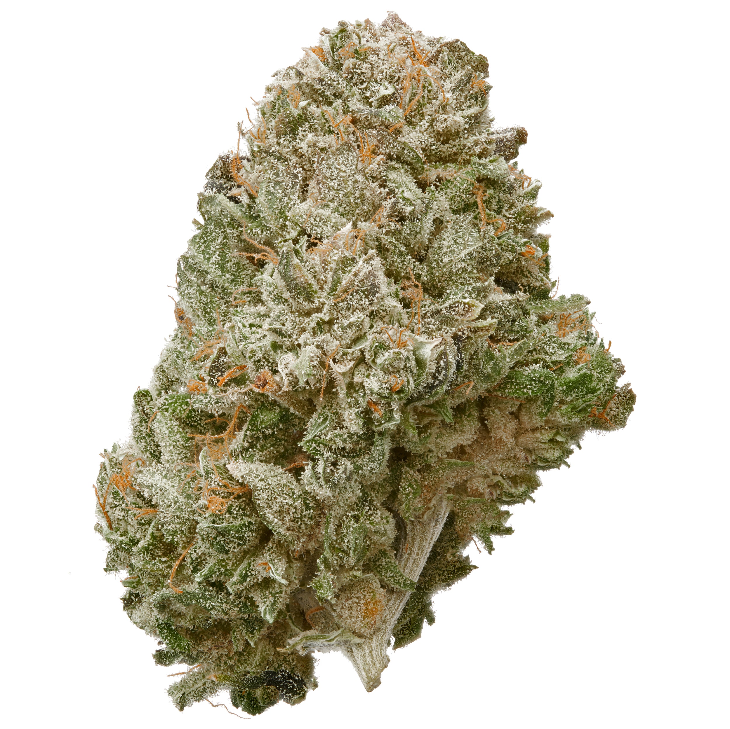 Buy Stardust Strain CBG & CBD OG Weed Flower | Hemp Hop